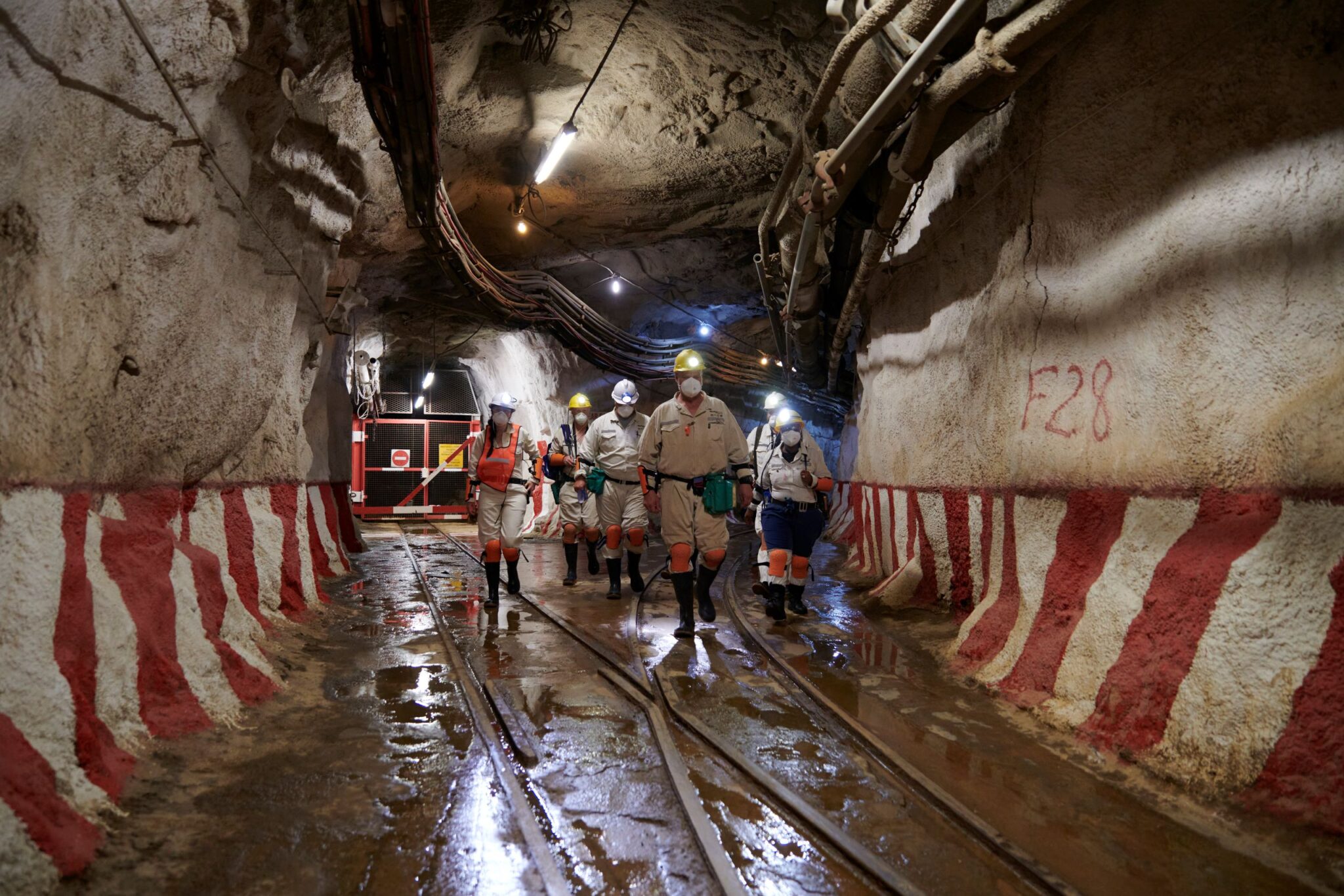 Sibanye-Stillwater - Home